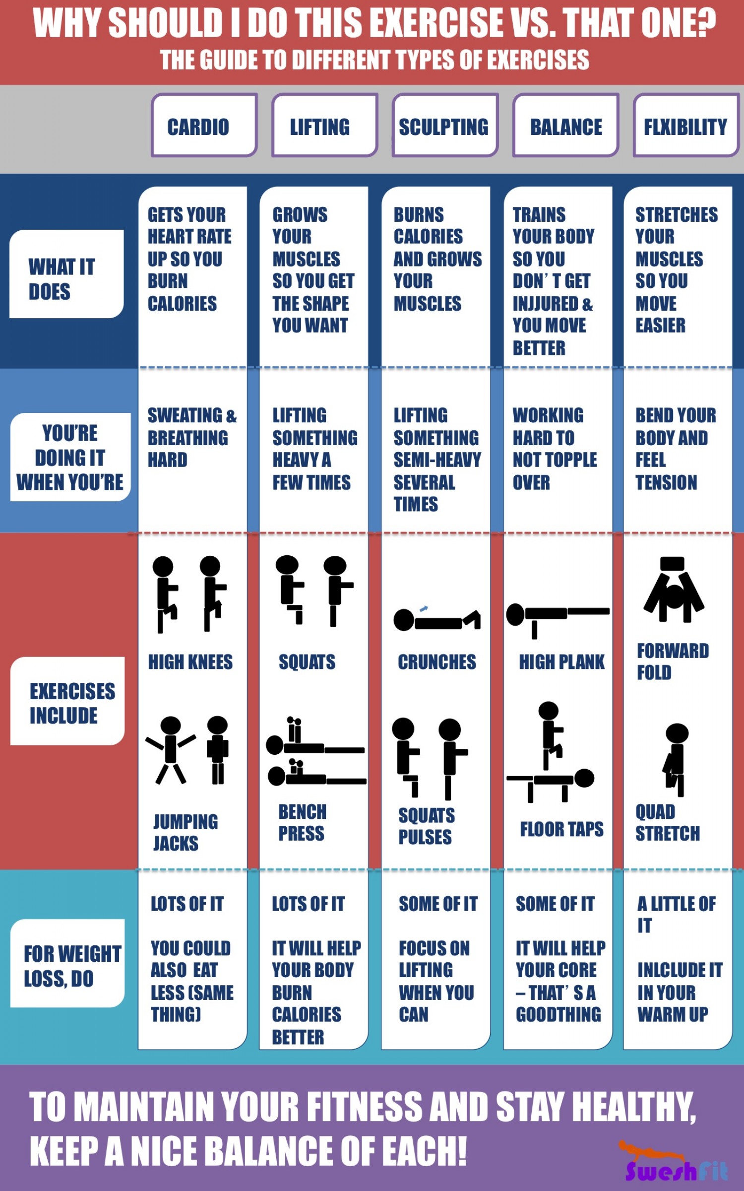 The Guide To Different Types Of Exercises Diet Hubs The Guide To Different Types Of Exercises Diet Hubs